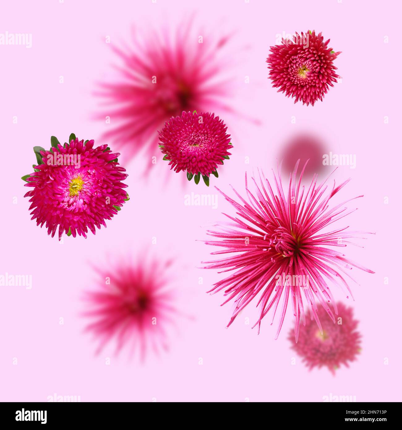 Flying fresh flowers on pink background Stock Photo - Alamy