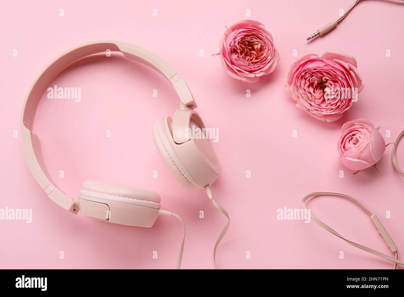 Modern headphones and rose flowers on pink background Stock Photo - Alamy