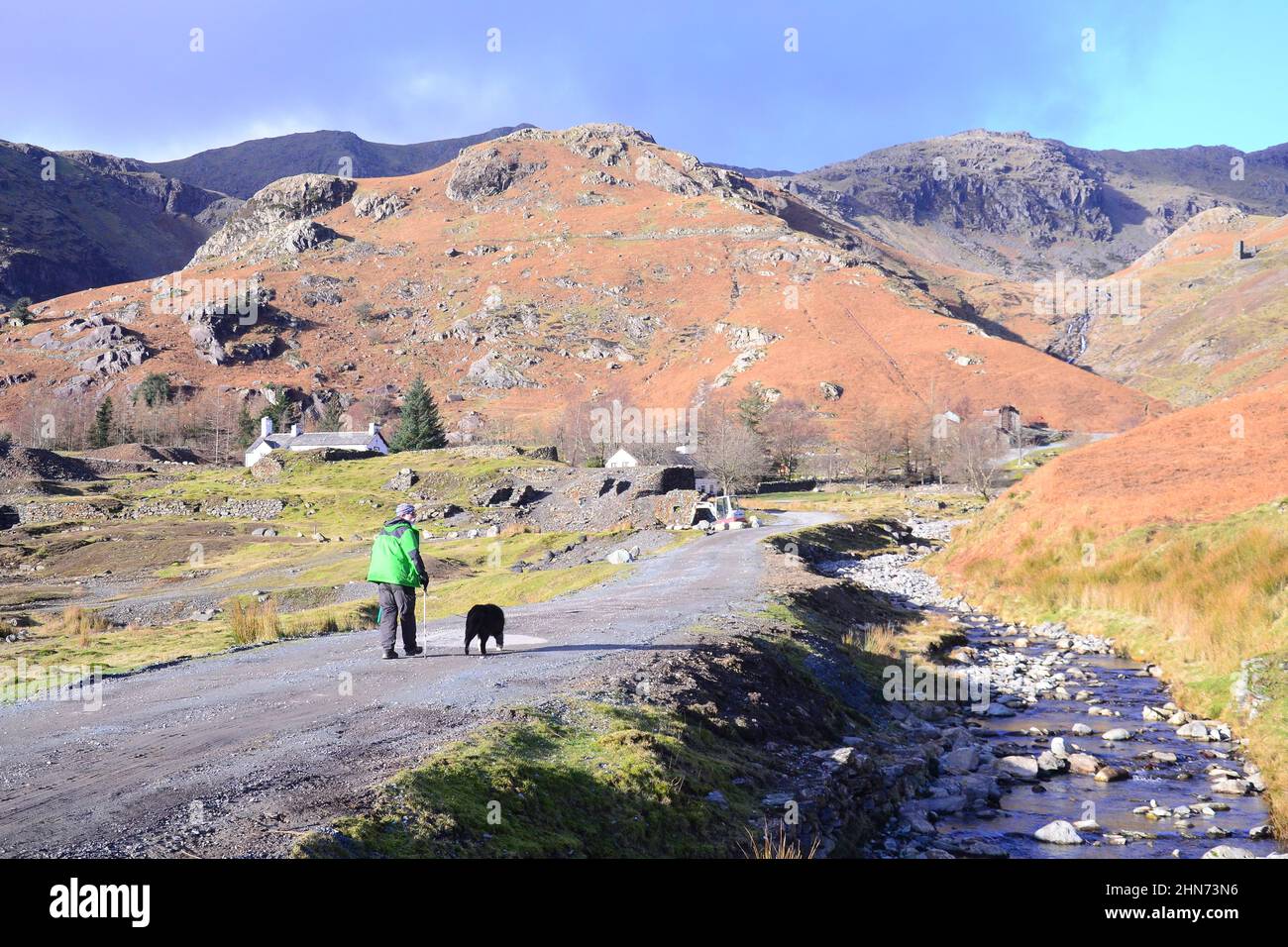 A man with a dog walk down a path of the mountain in the valley of ...