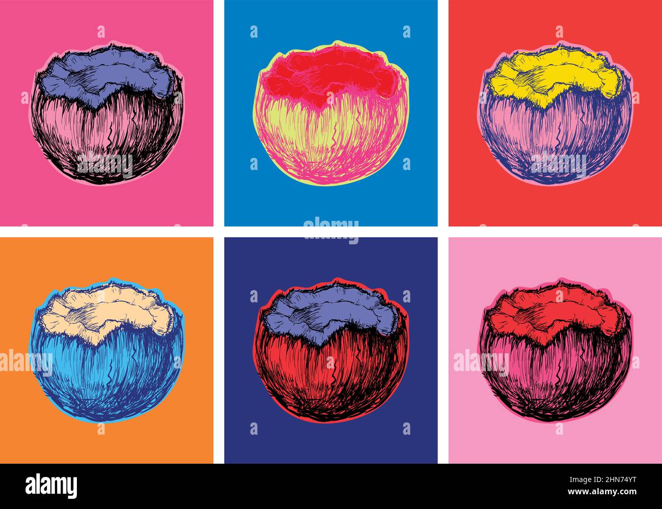 Coconut. Open coconut. Hand Drawn Vector Illustration Stock Vector ...