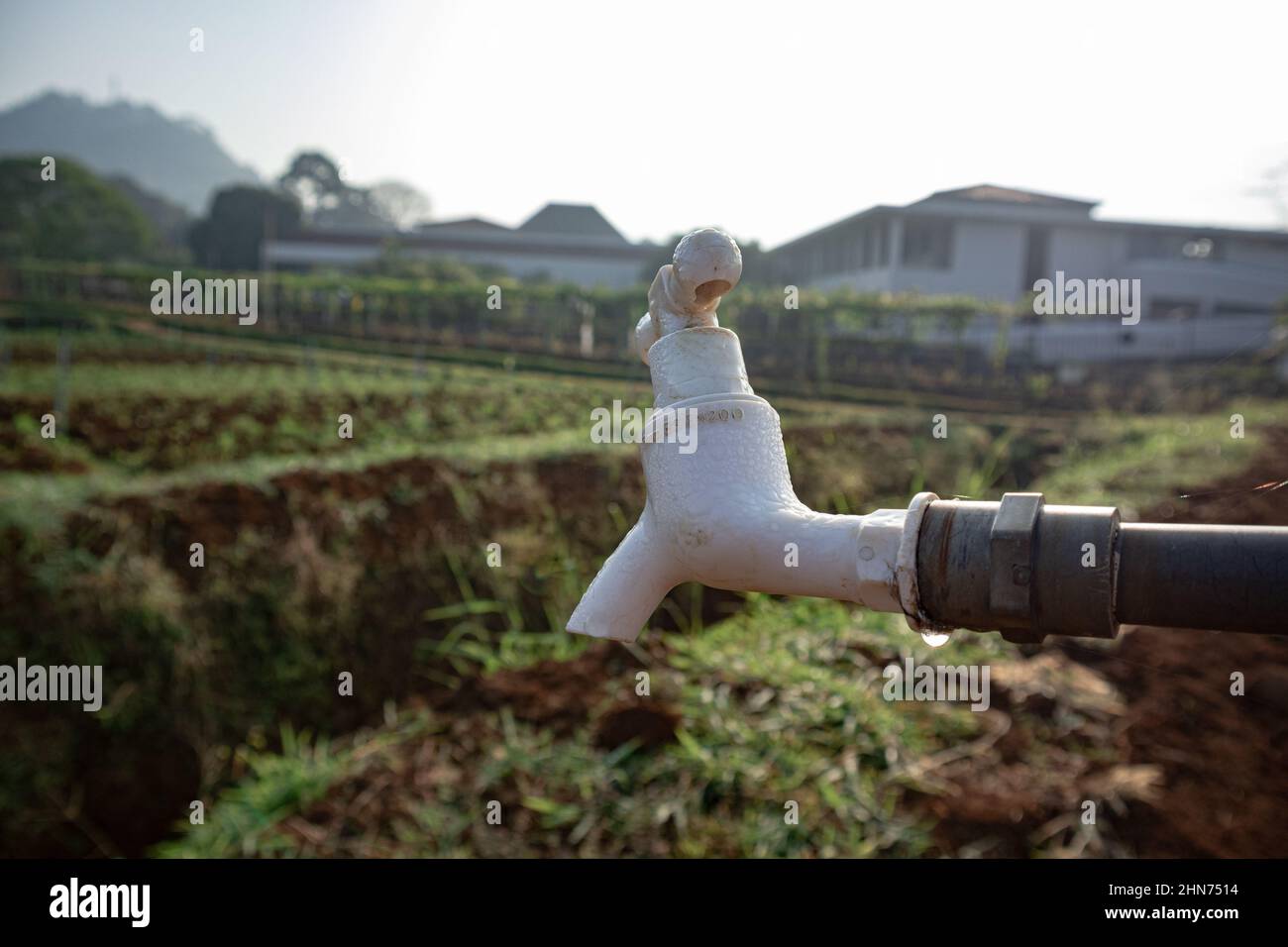 Some irrigation tools and equipment used in agriculture Stock Photo - Alamy