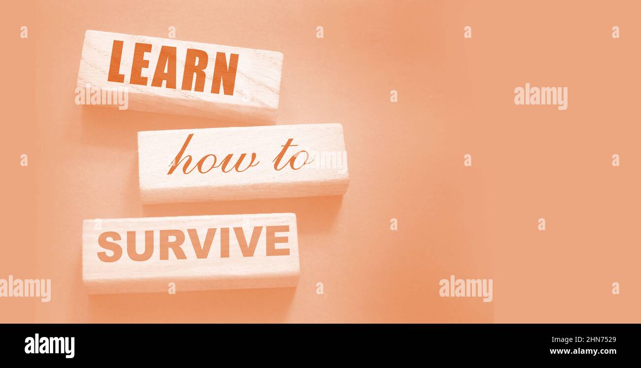 Text on wooden blocks Learn How to Survive. Surviving in crisis times ...
