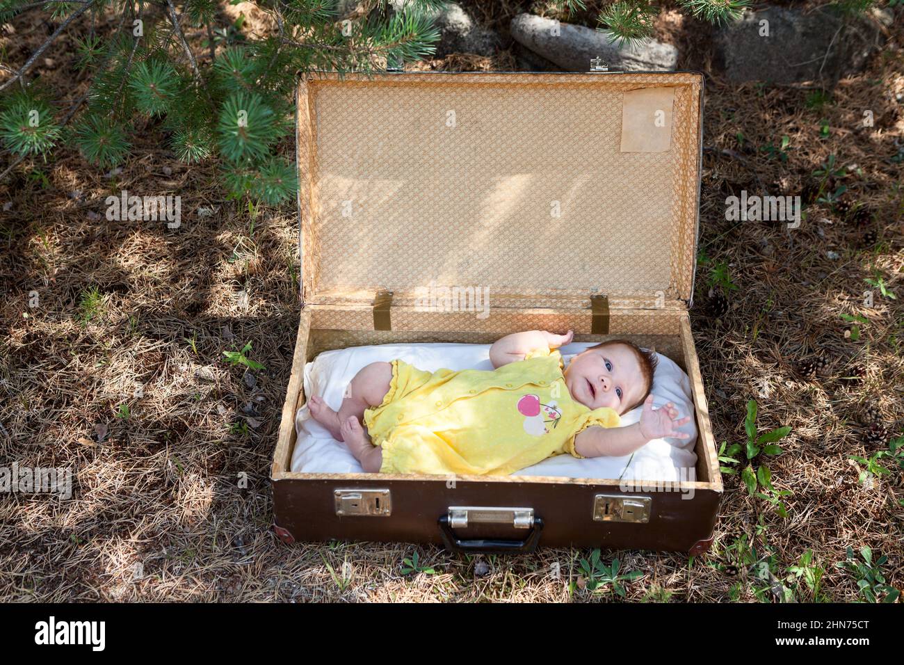 New born baby lost in evergreen forest, one child lying in suit Stock ...