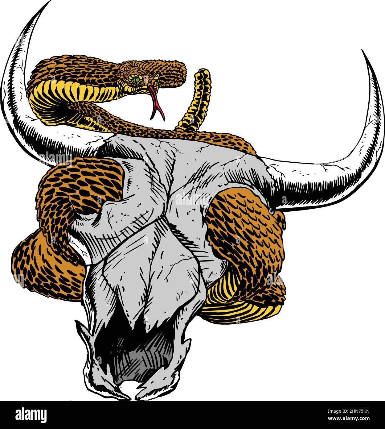 Cow Snake 401 Cow Snake Stock Photos, High Res Pictures, And Images