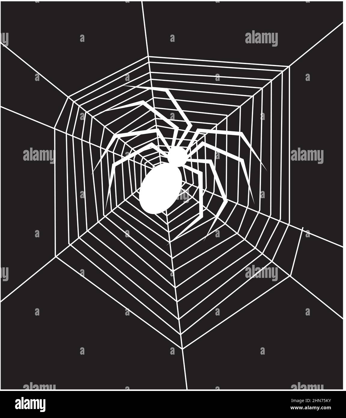 Spider and Webs Vector Illustration Stock Vector Image & Art - Alamy