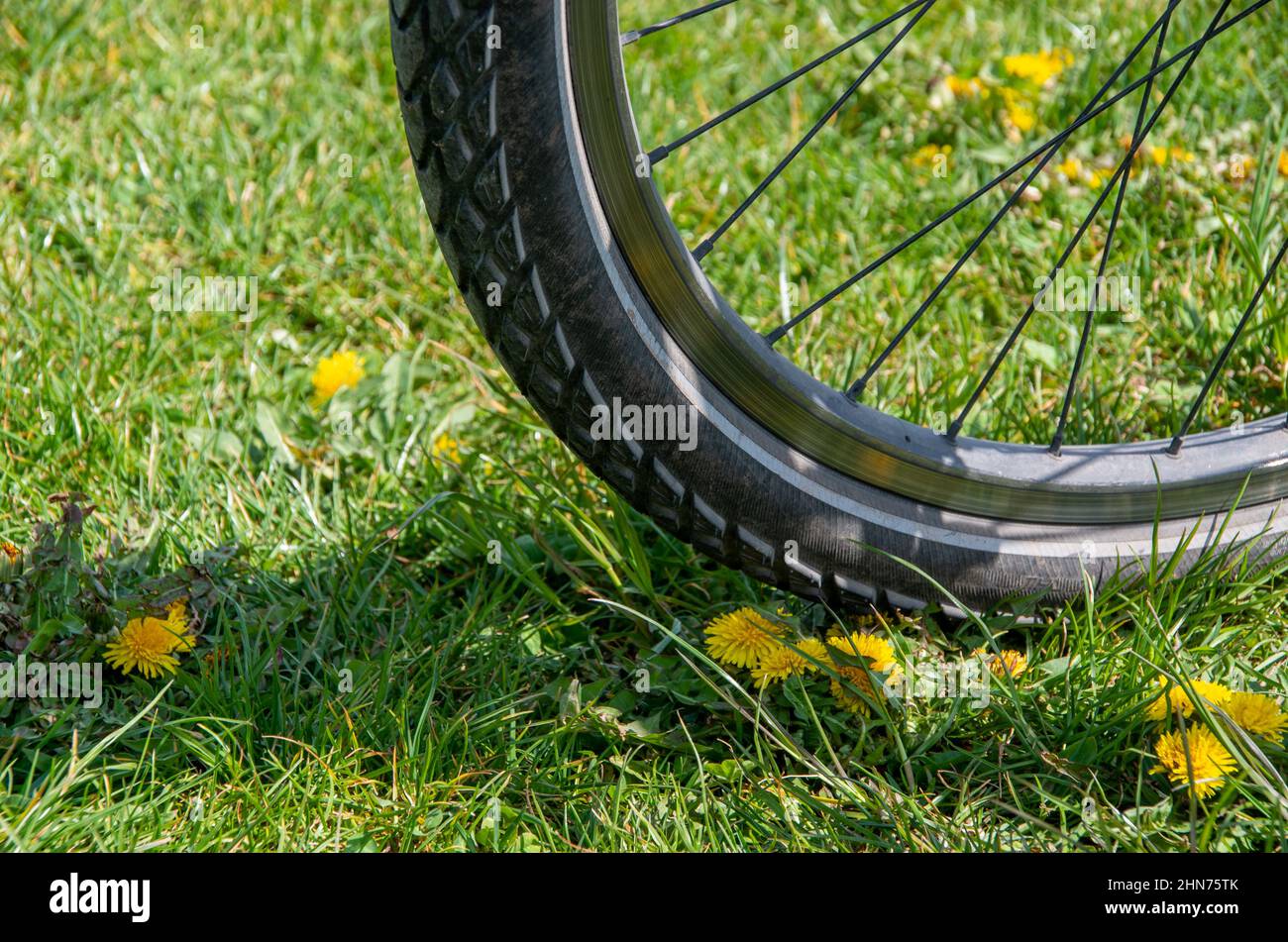 Bike wheel on the grass Stock Photo - Alamy