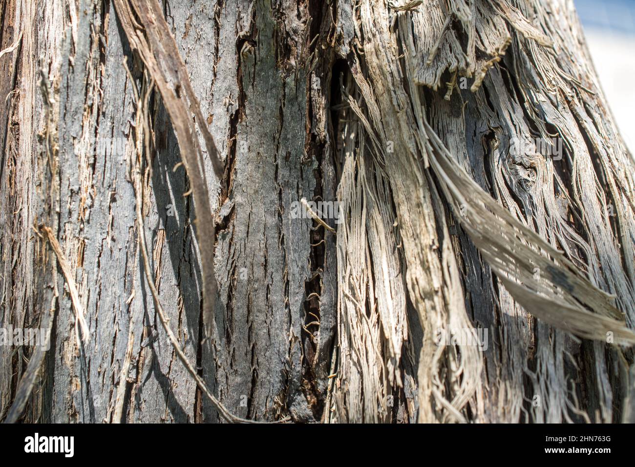 Chrysi island hi-res stock photography and images - Alamy