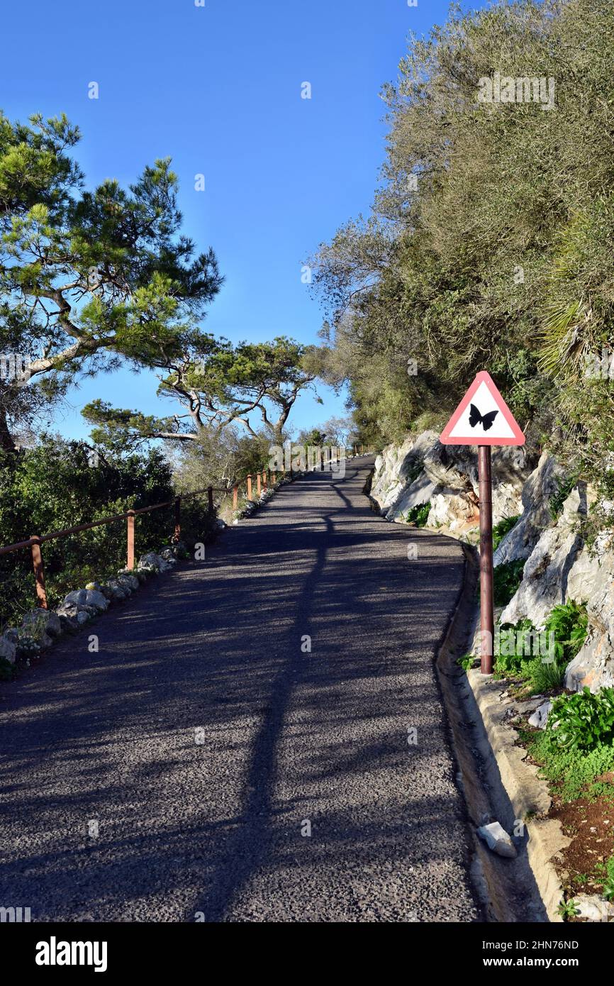 Road sign with butterfly on Gibraltar rock Stock Photo - Alamy