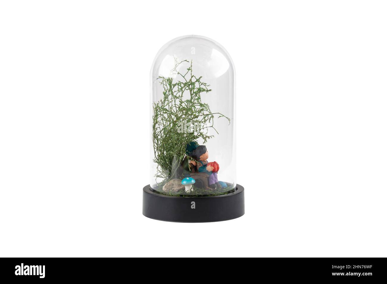 Glass terrarium. Large terrarium isolated on white background ...