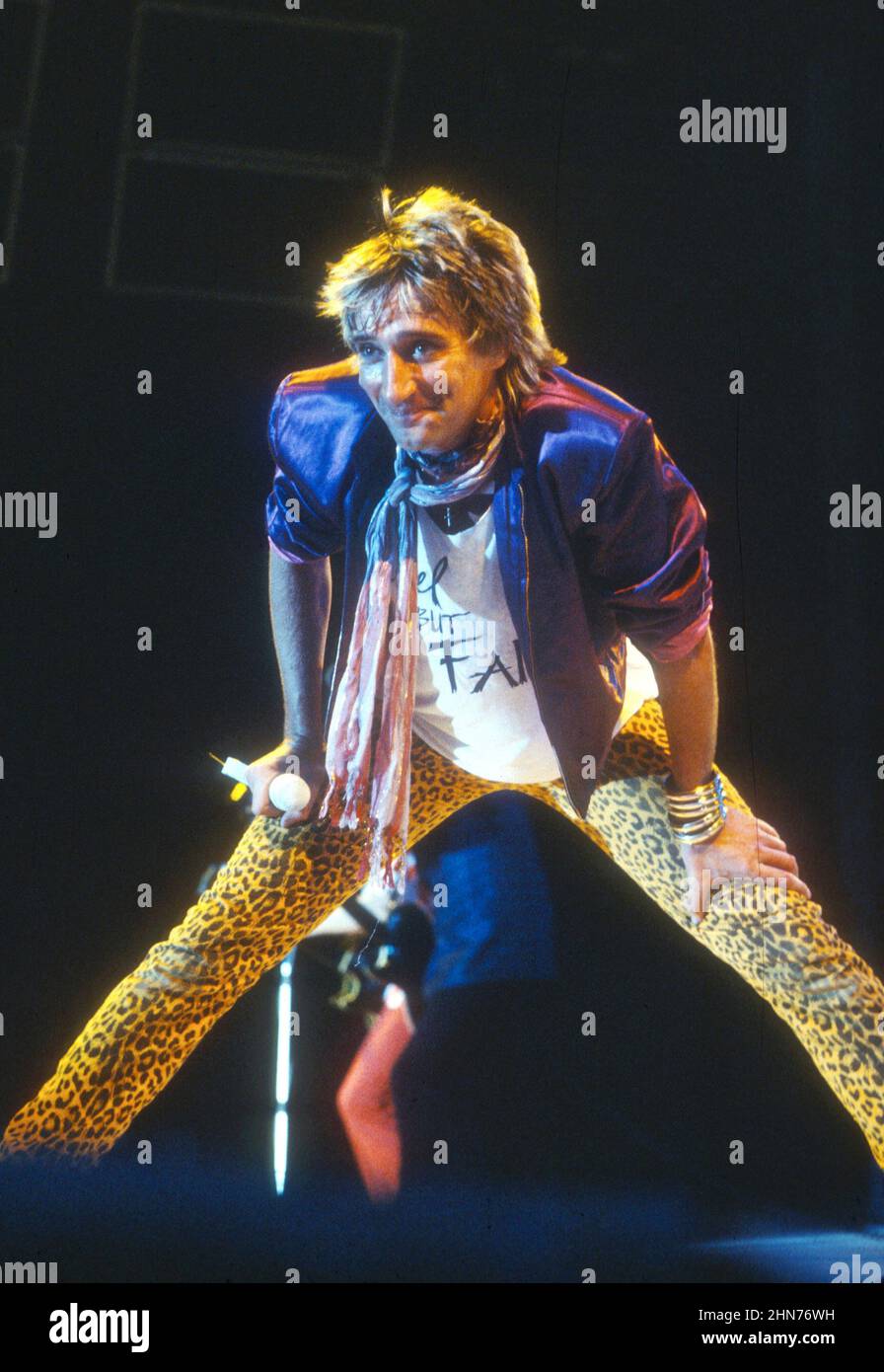 LOS ANGELES, CA - NOVEMBER 24: Rod Stewart performing in Concert circa ...