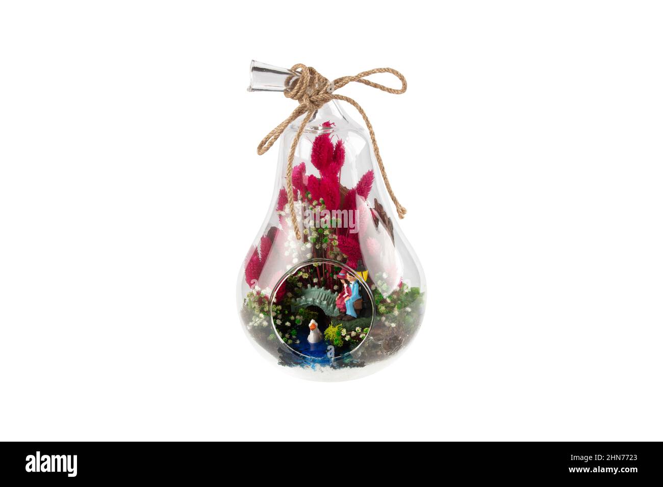 Glass terrarium. Large terrarium isolated on white background ...