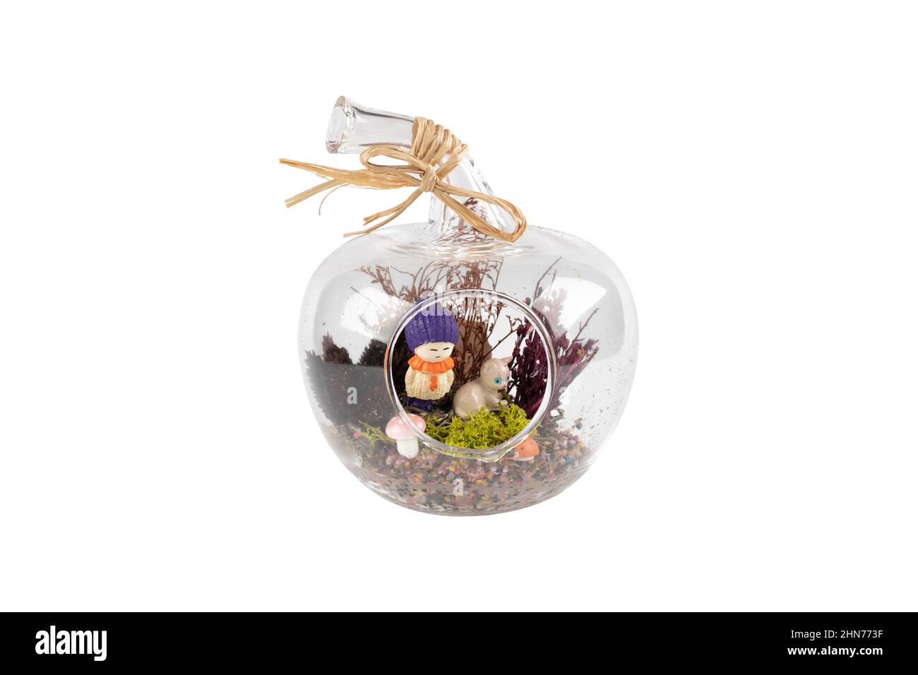 Glass terrarium. Large terrarium isolated on white background ...