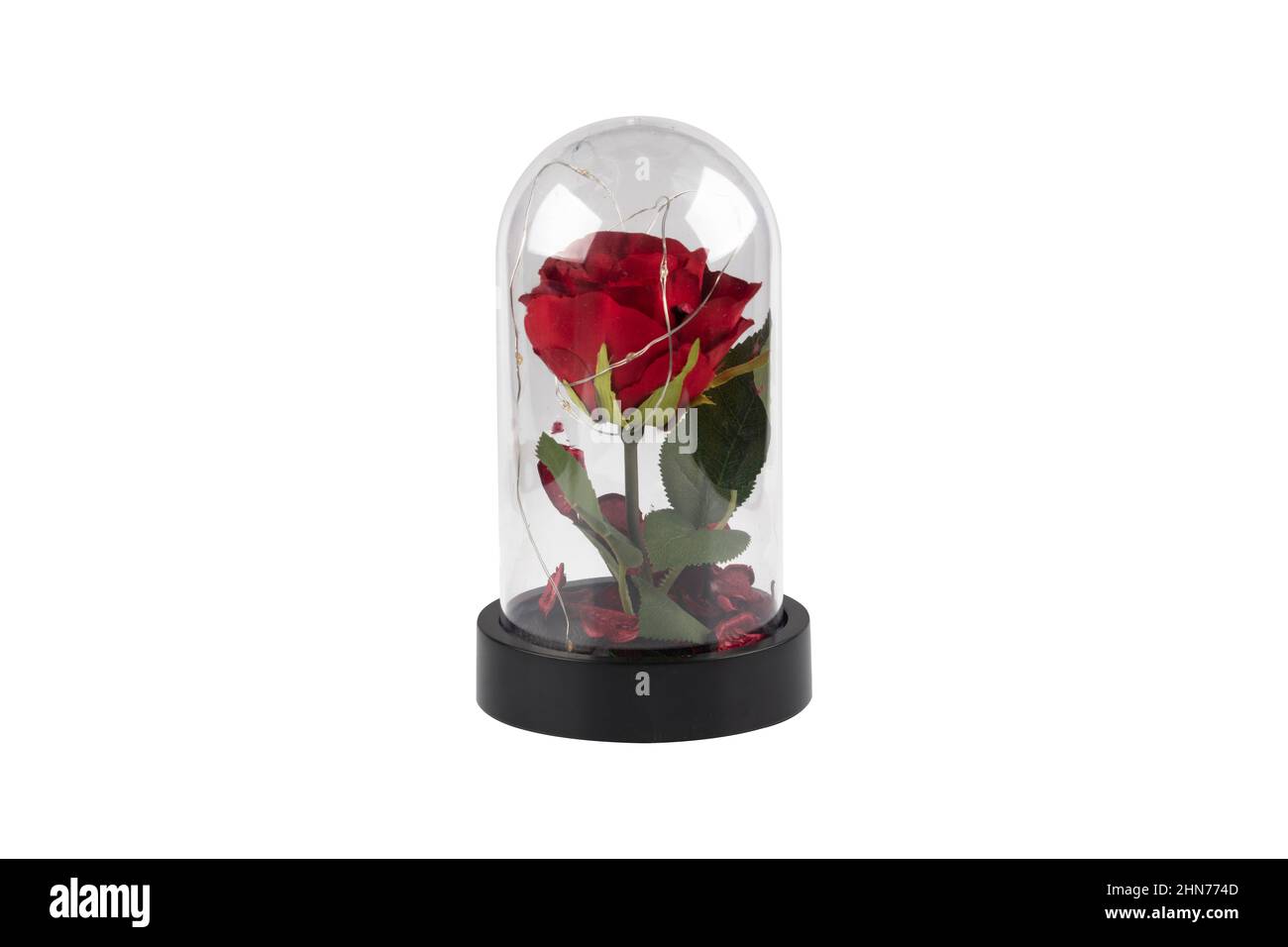 Glass terrarium. Large terrarium isolated on white background ...