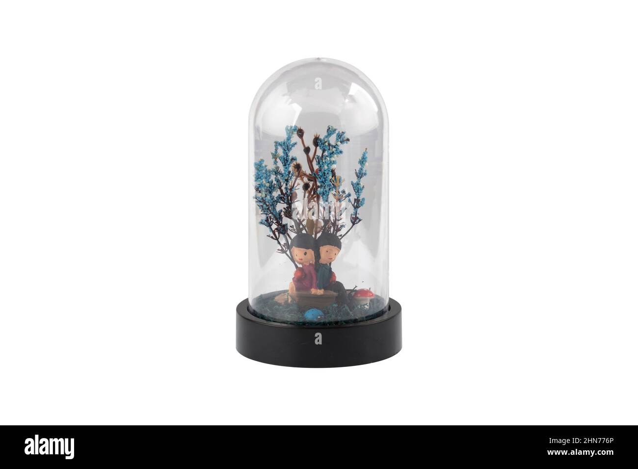 Glass terrarium. Large terrarium isolated on white background ...