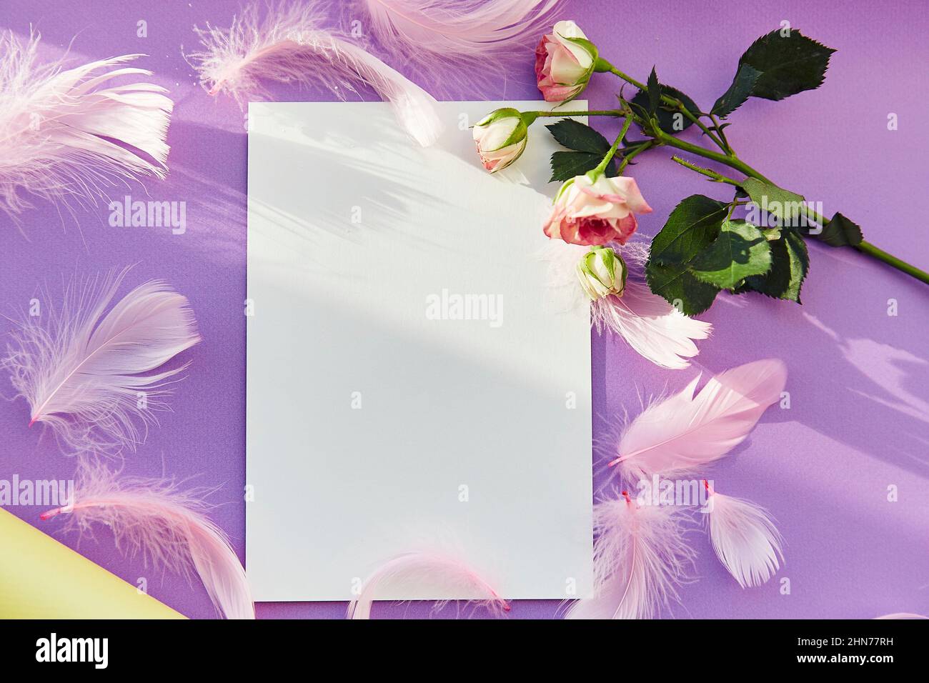 White mockup with pink feathers, pink rose and shadows. Happy birthday ...
