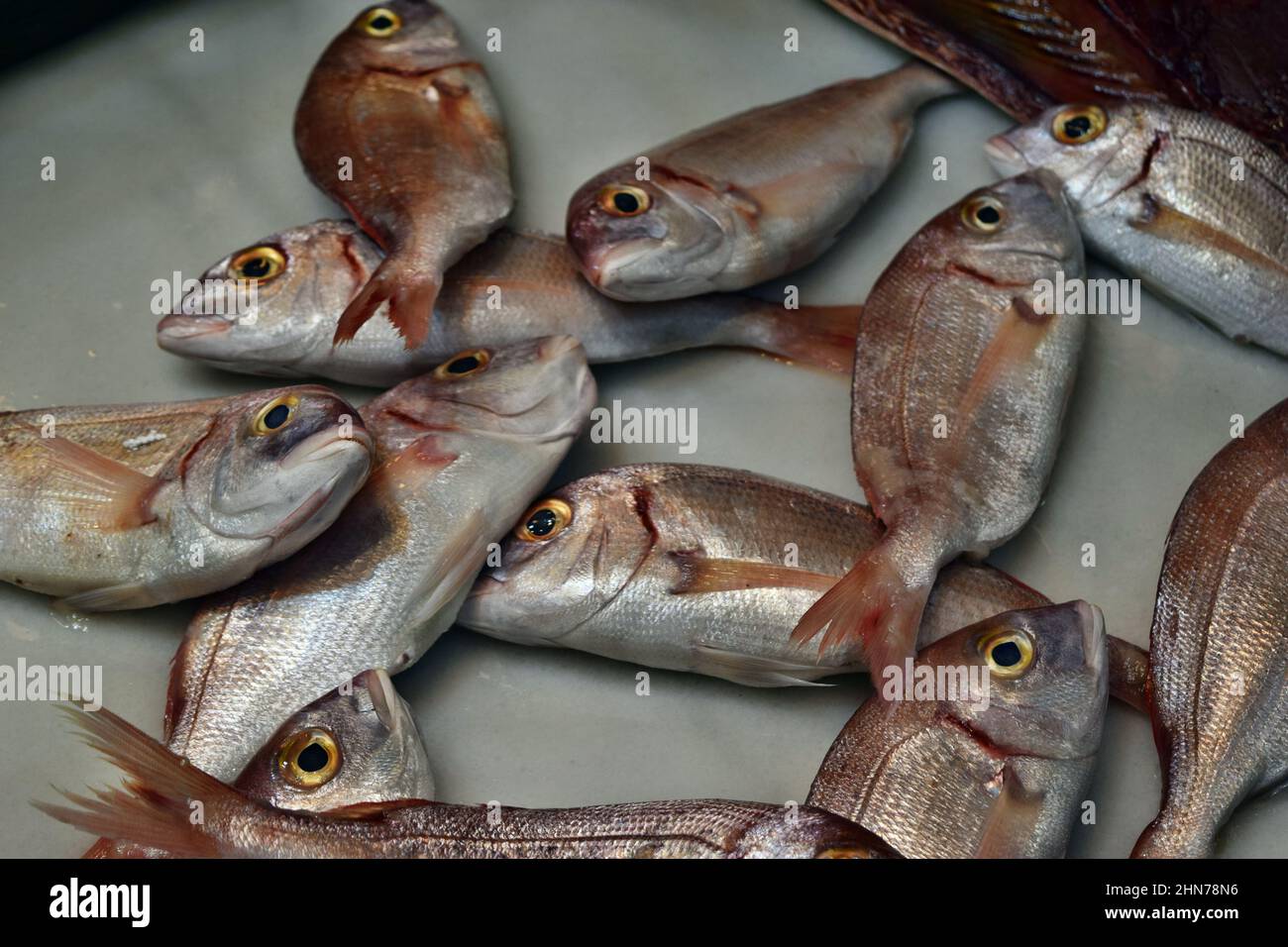 Fresh and healthy fish seafood for sale at a market in Spain, Europe ...