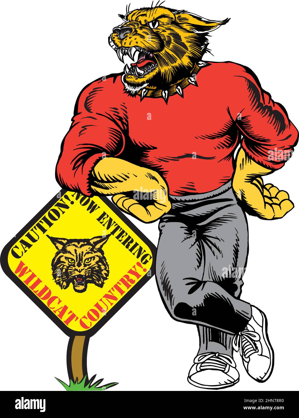 Wildcat Mascot Country Vector Illustration Stock Vector Image & Art - Alamy