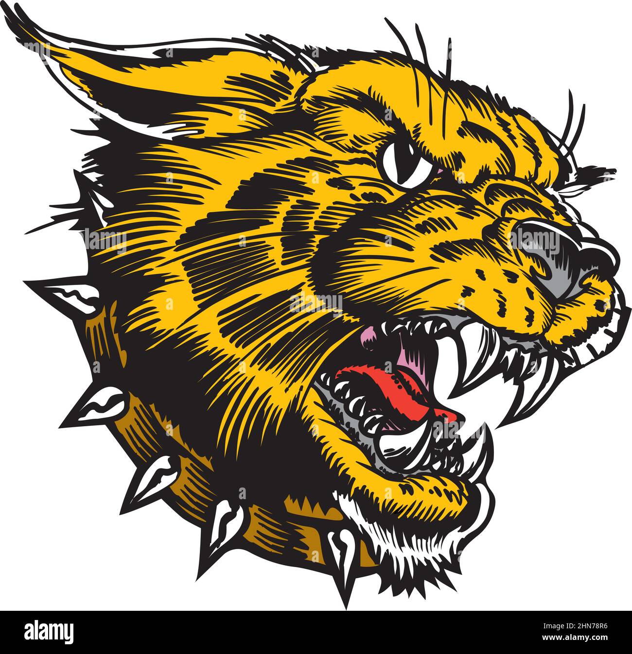 Spike Collar High Resolution Stock Photography and Images - Alamy