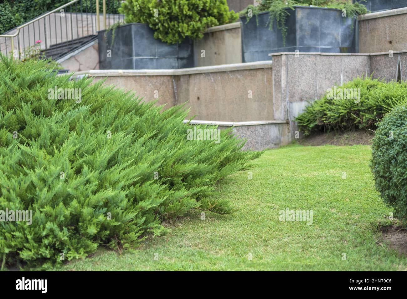 Bushfence hi-res stock photography and images - Alamy