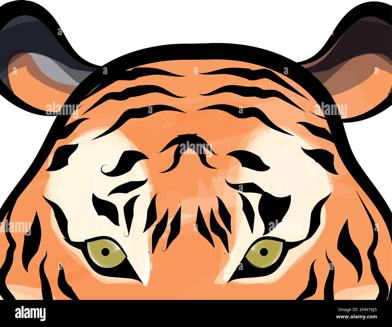 Close look of a colored asian tiger face Vector Stock Vector Image ...