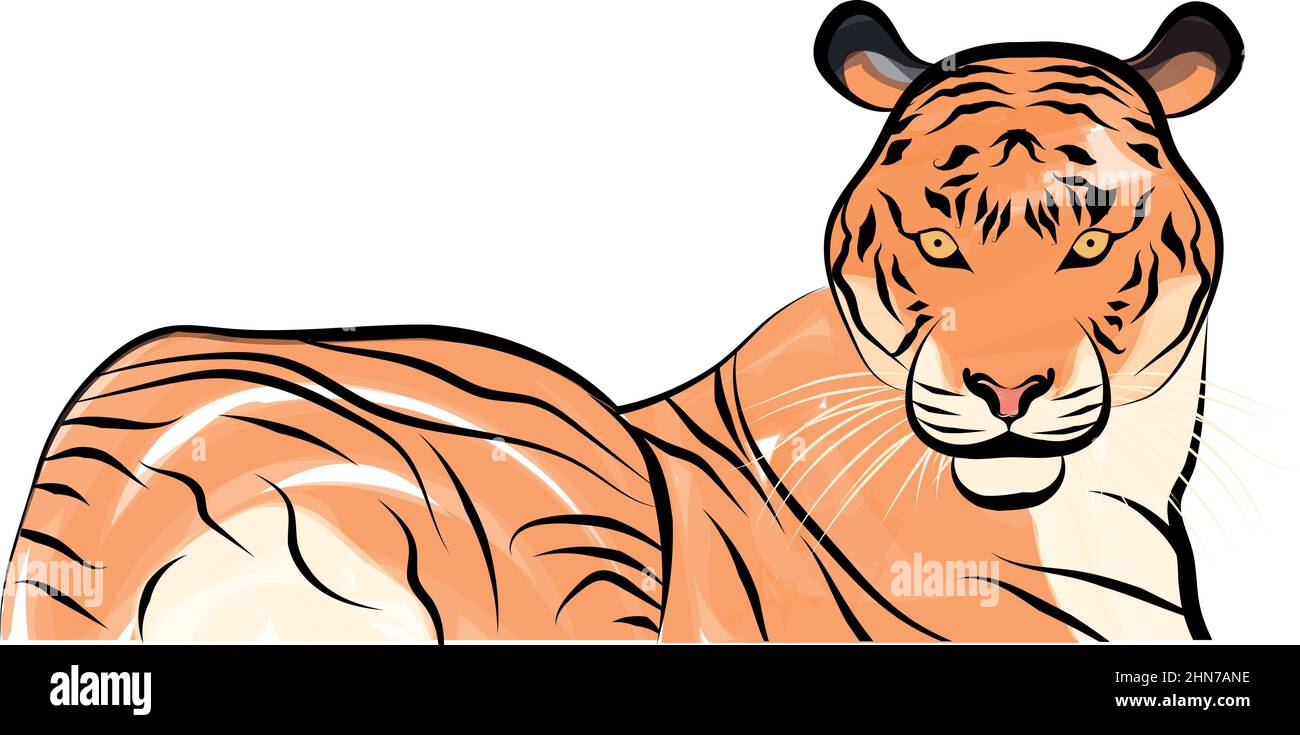 Sitting colored chinese tiger with details Vector Stock Vector Image ...