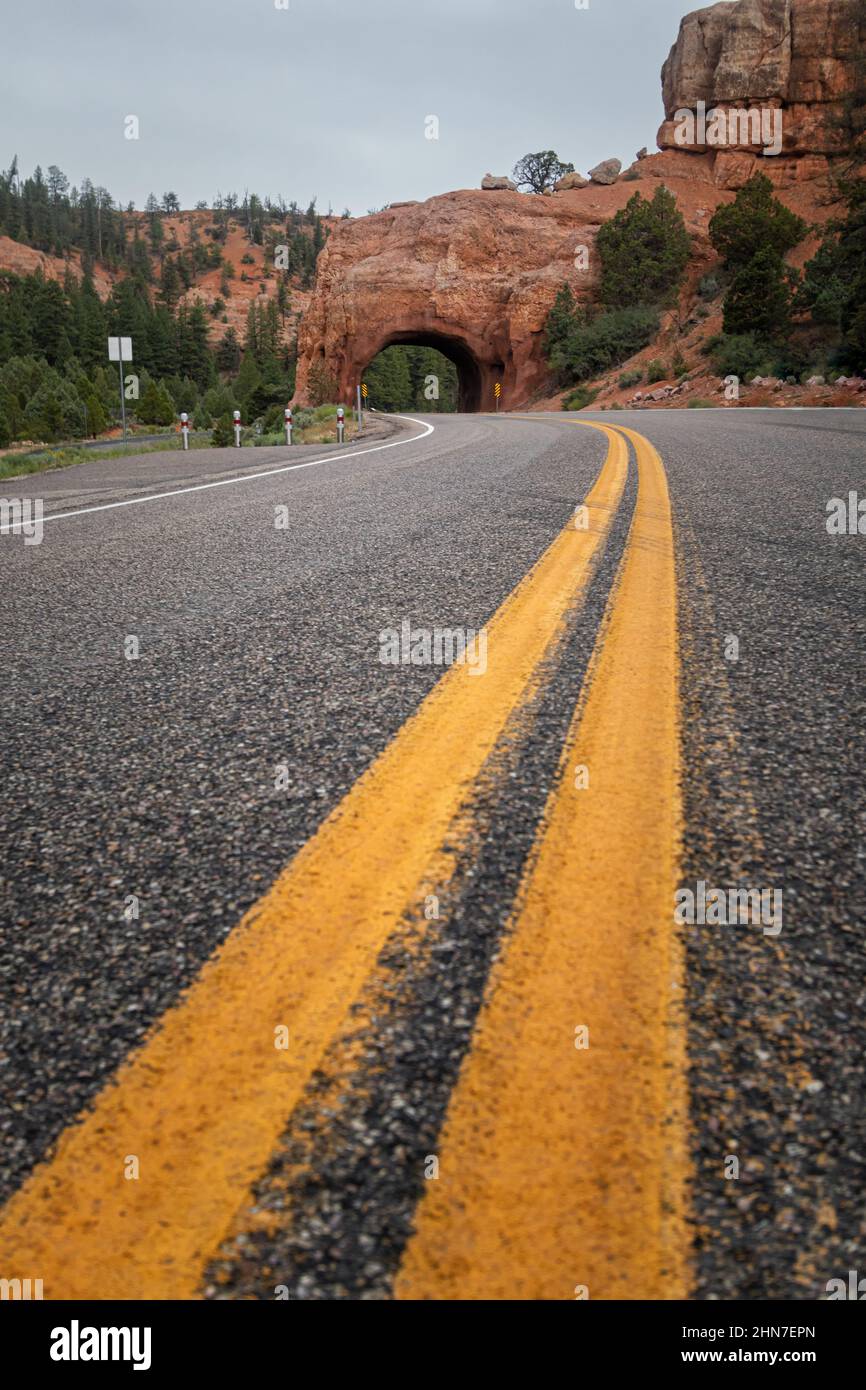 Dixie National Forest in Utah Stock Photo - Alamy