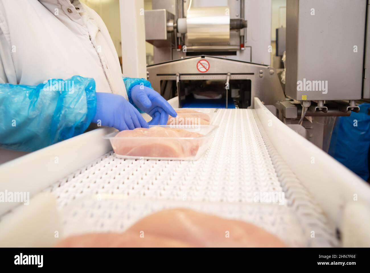 Line for the production of semi-finished meat products.Meat processing ...