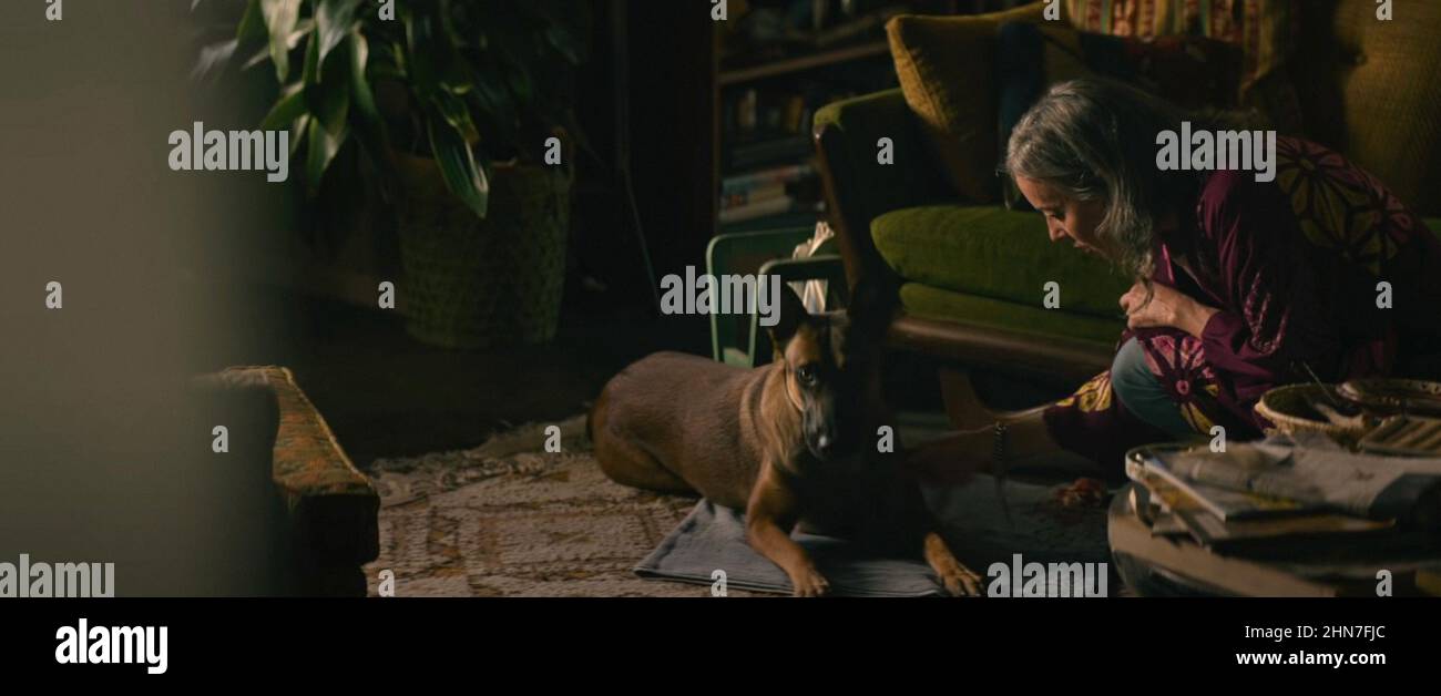 DOG, Jane Adams, 2022. © United Artists / Courtesy Everett Collection ...