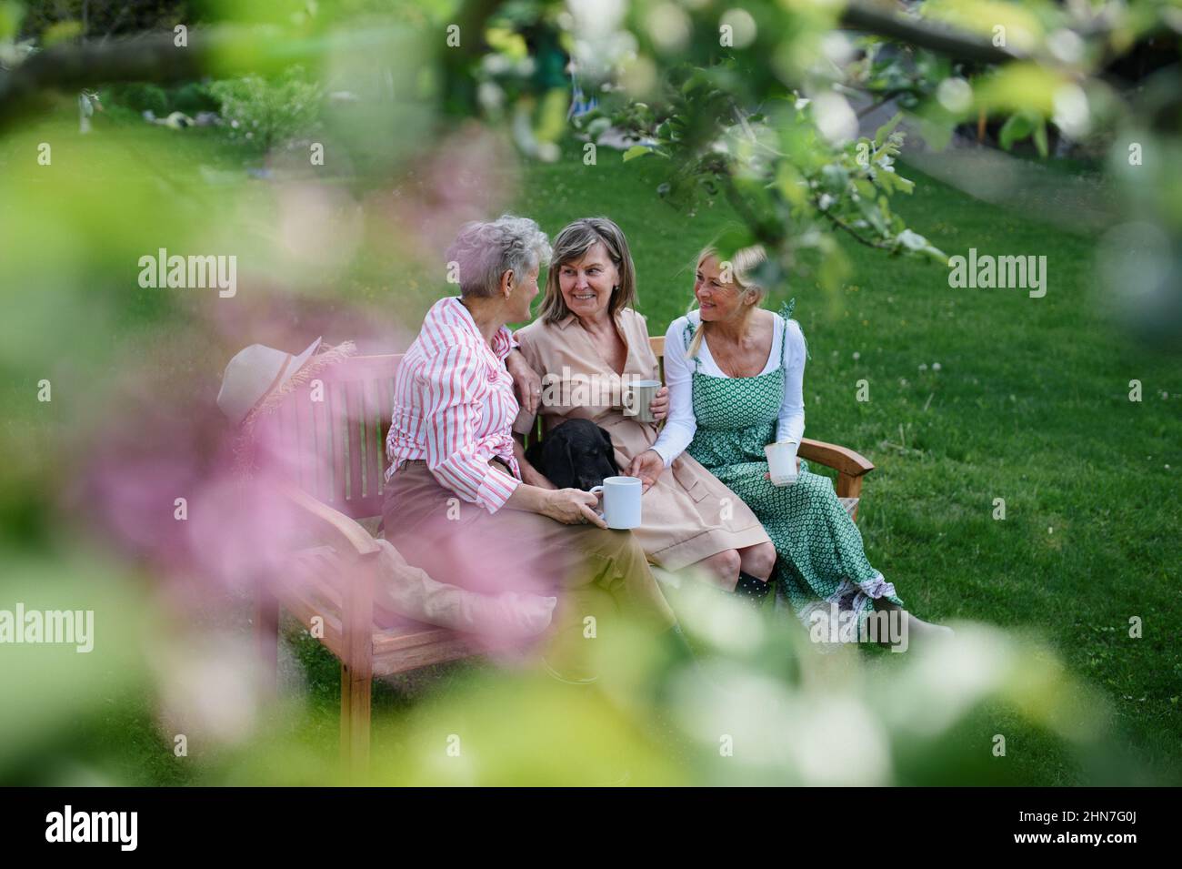 Happy senior women friends sitting on bench and drinking tea outdoors ...