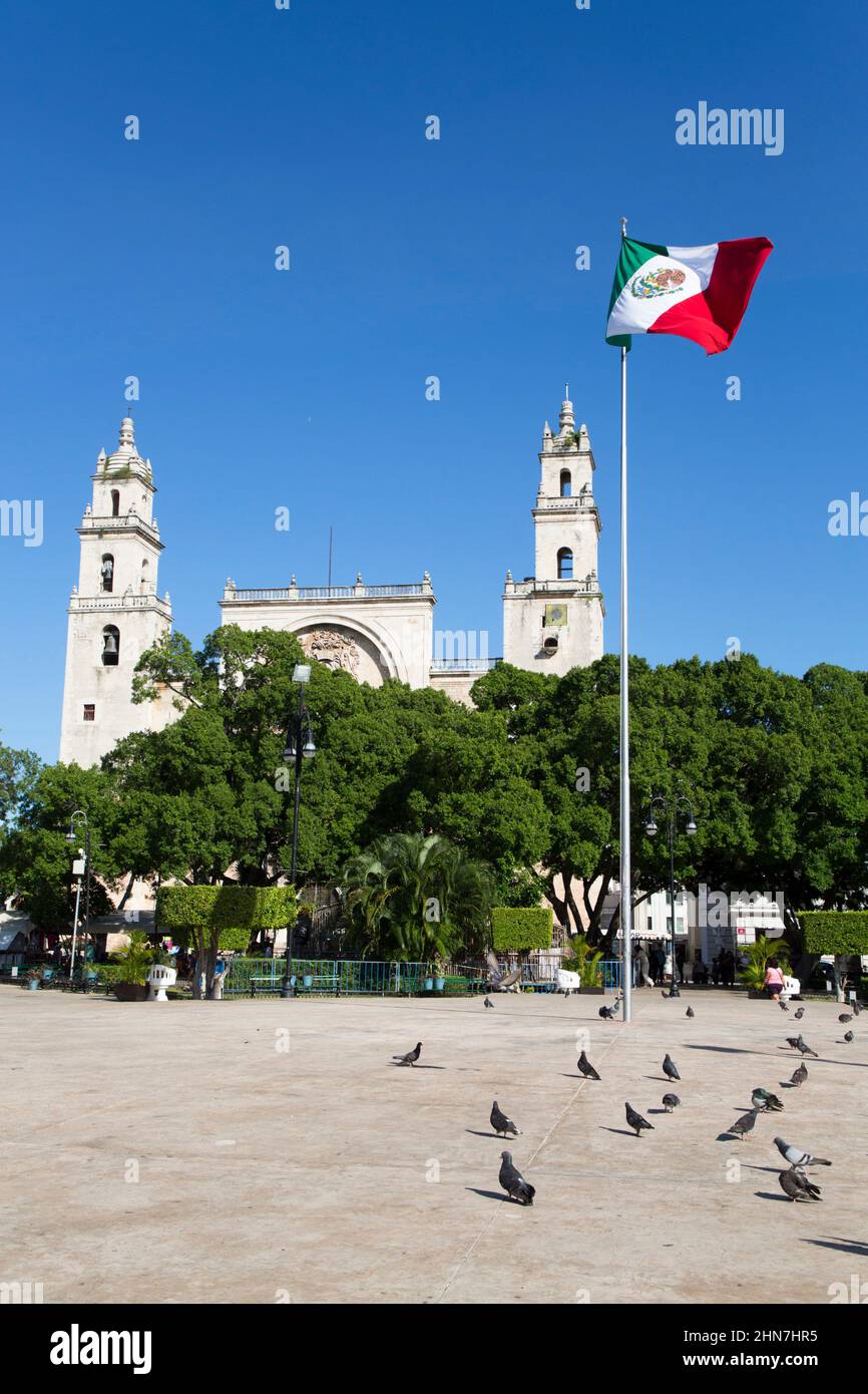 Mexican Flag, Plaza Grande, Cathedral de IIdefonso (background), Merida ...