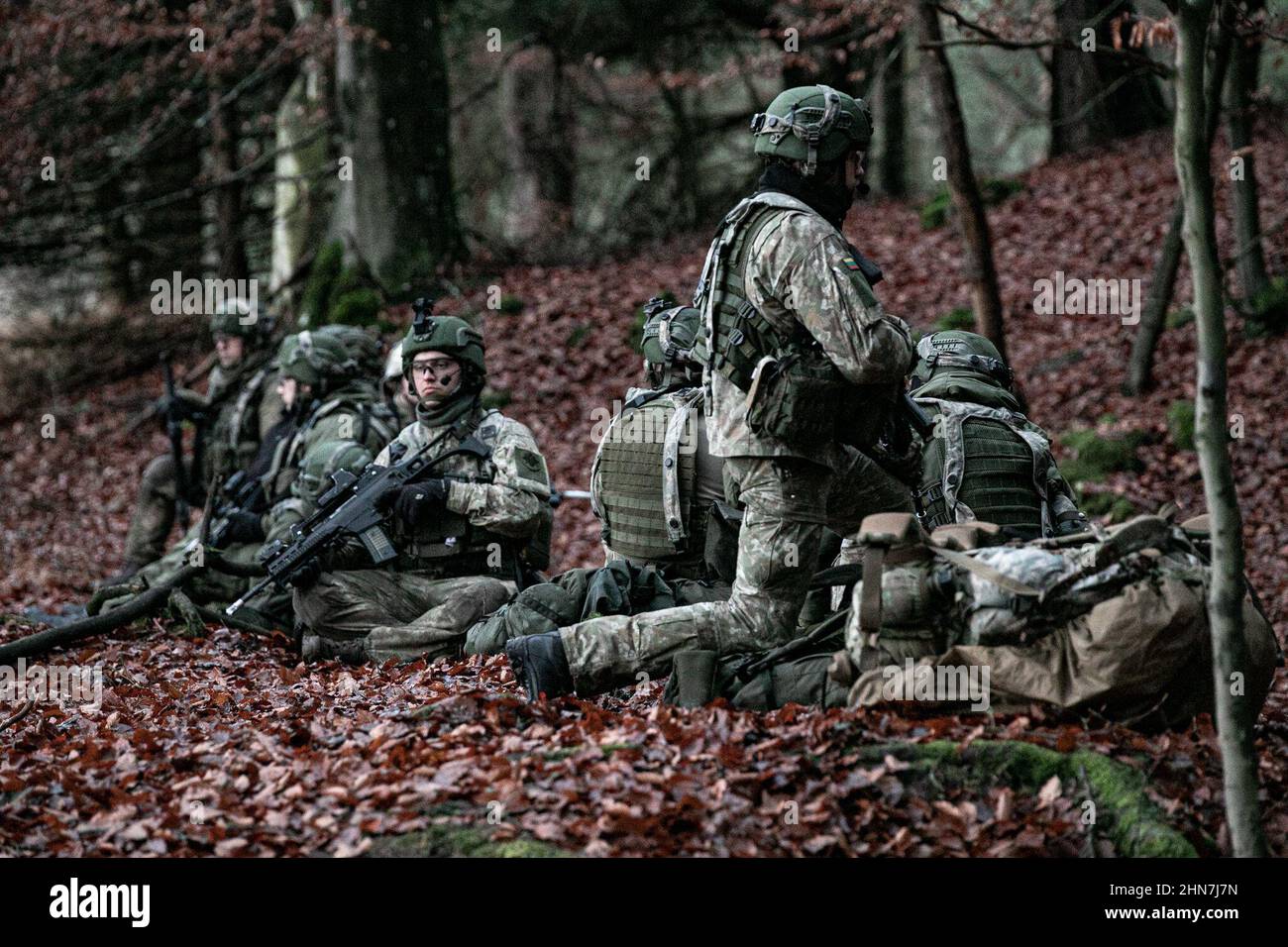 Lithuanian National Volunteer Defence Force (KASP) soldiers pull ...