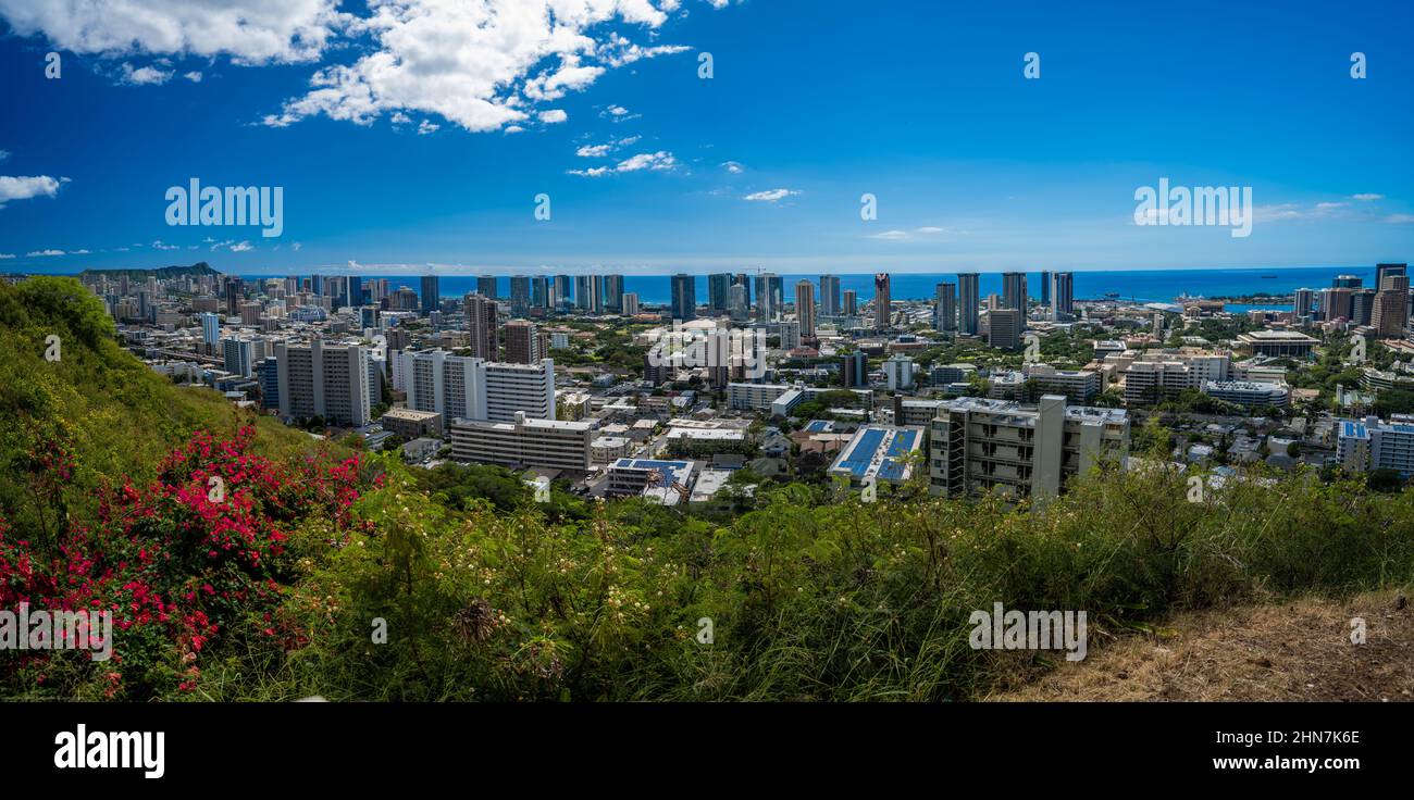 Panoramic downtown of Honolulu city view from the hill with ocean on ...