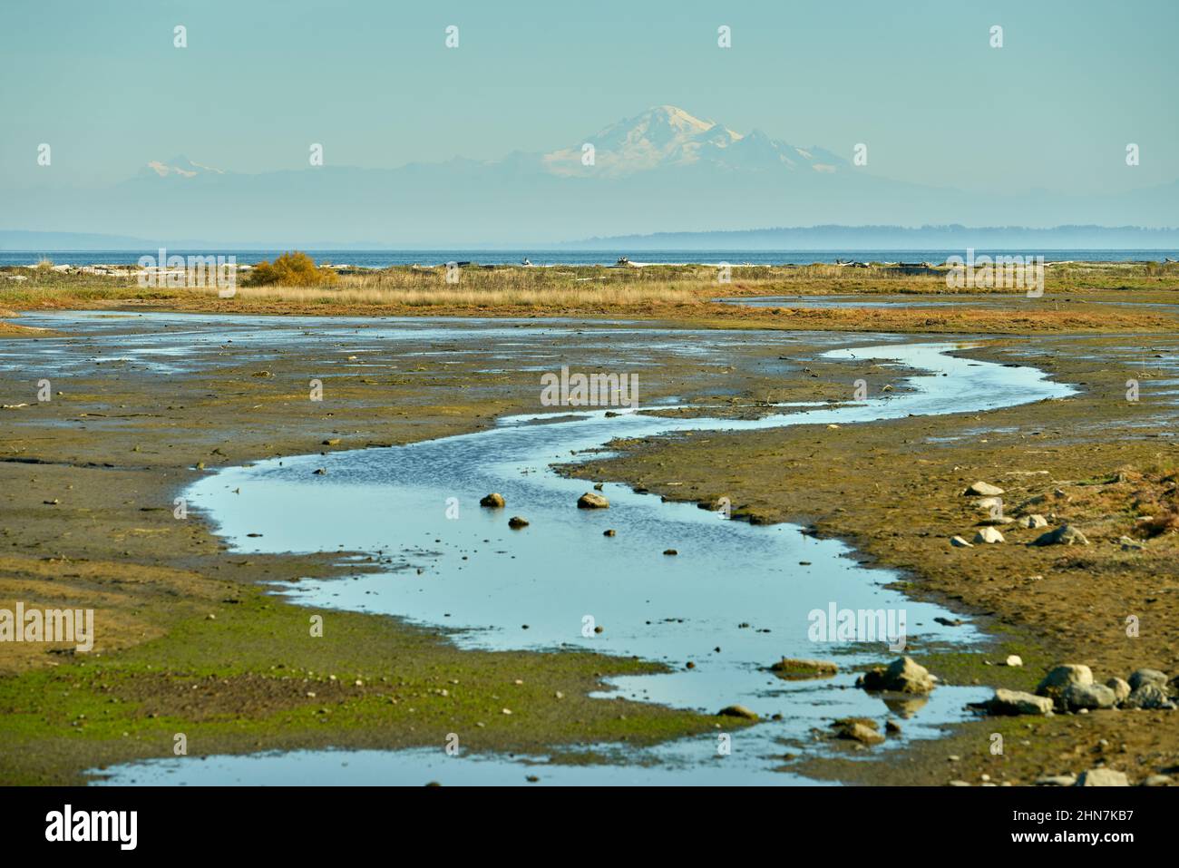 Mt Baker across Mud Flats. Mud flats at low tide along the shore of ...