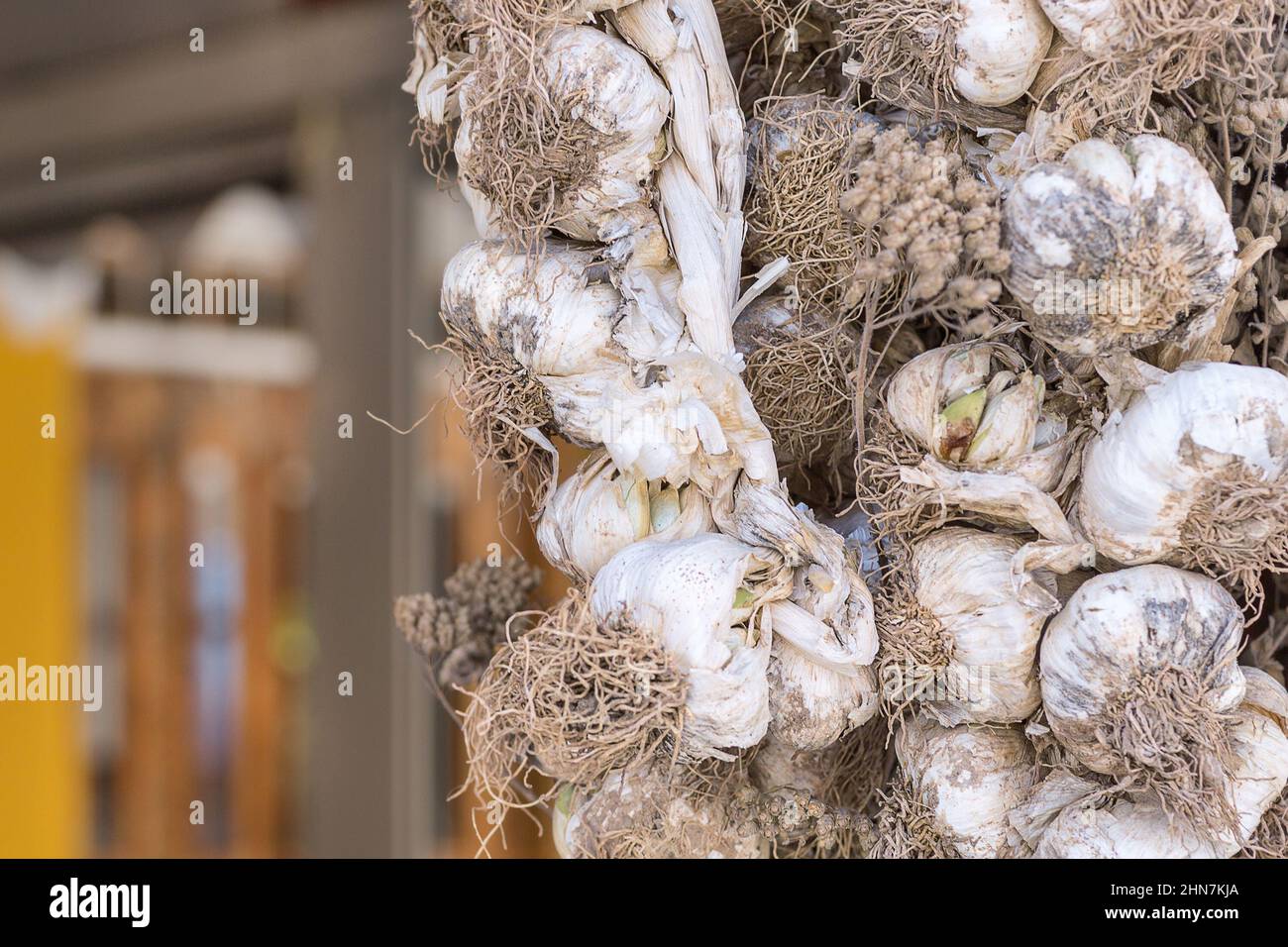 Hanging garlic greece hi-res stock photography and images - Alamy