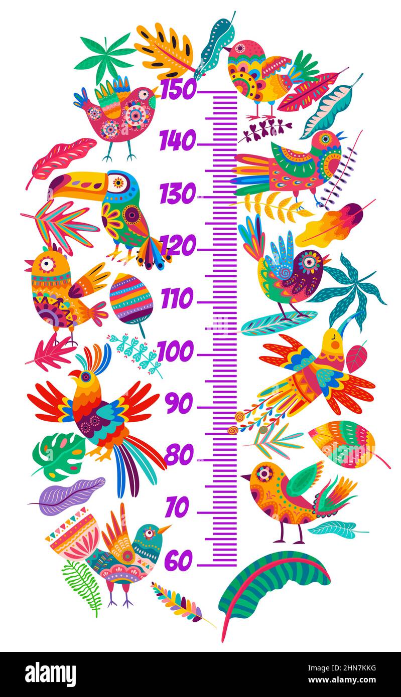 Kids height chart with bright alebrije birds, vector growth measure ...
