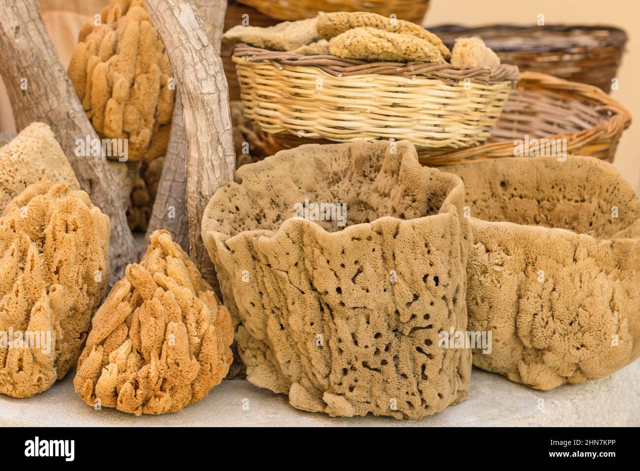 Natural yellow and brown bath sponges at local market in Symi island ...