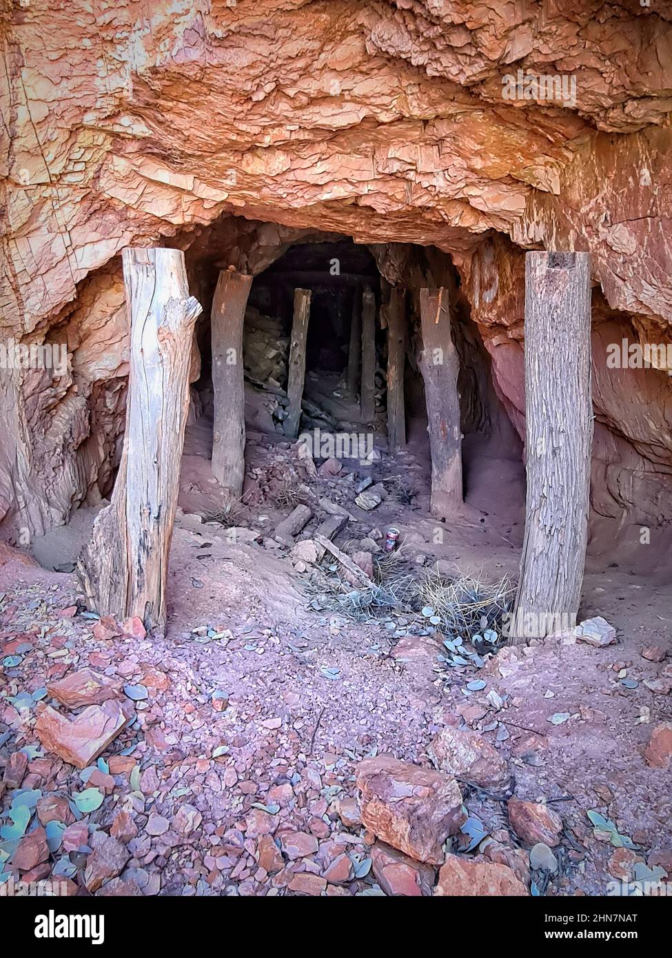 Vertical shot of the cave and the cut trees showing the path to the ...