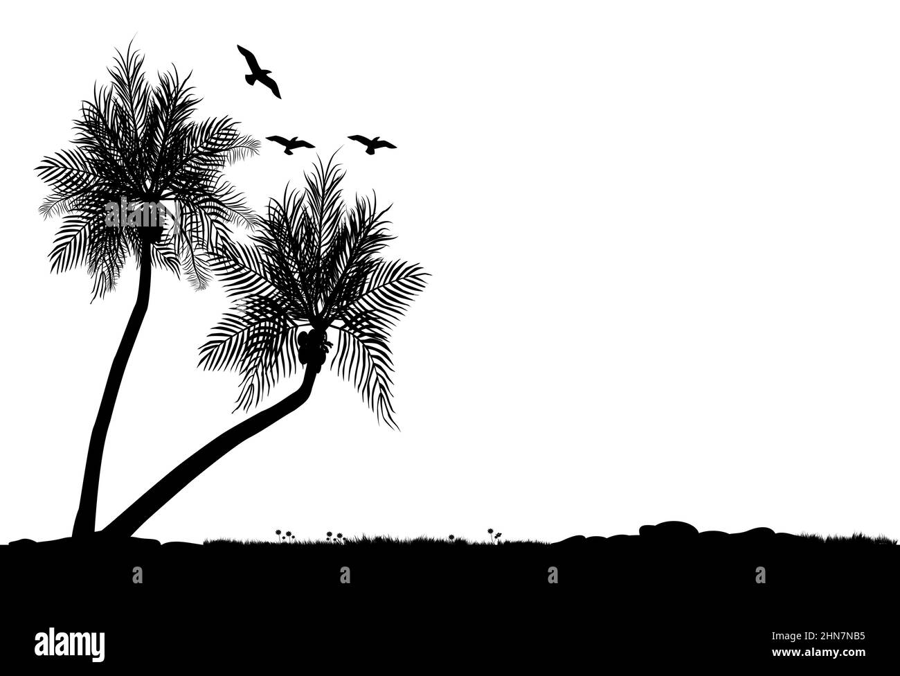 Birds Flying From Tree Silhouette