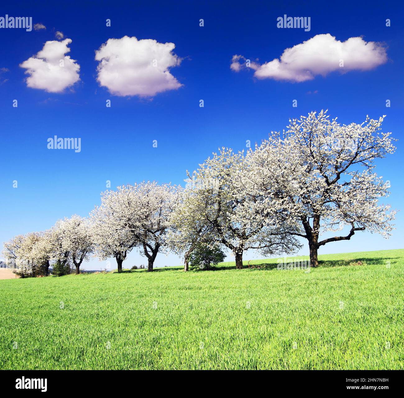 Prime time with clouds hi-res stock photography and images - Alamy