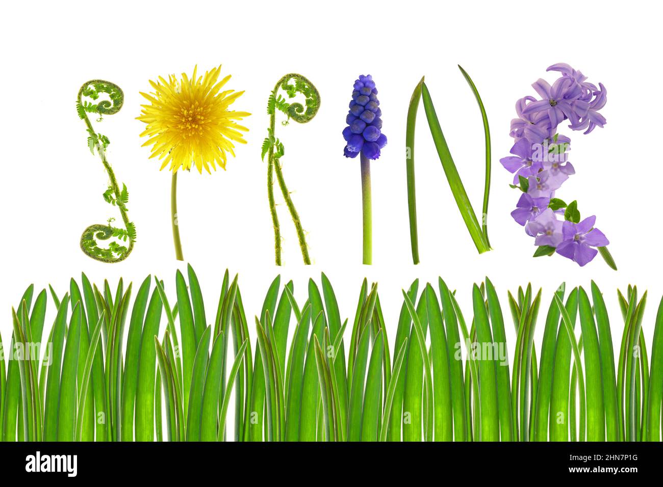 Hello spring.Floral letters and green grass isolated on white ...