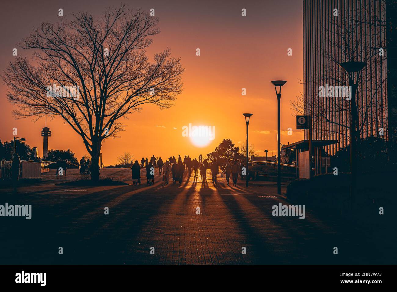 Sunset, silhouette of people, tree, buildings and train, sunset shadows ...