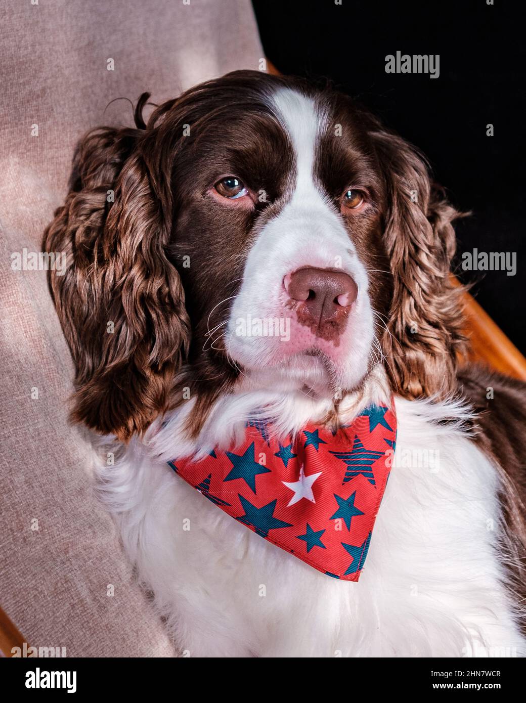 Of good nature band hi-res stock photography and images - Alamy