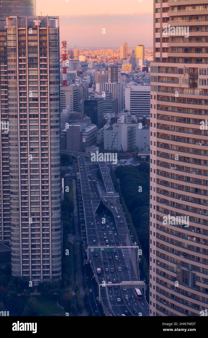 Tokyo, Japan – November 13, 2007: The view of the wide Kaigan dori ...