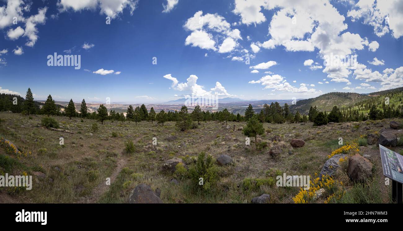 Dixie National Forest in Utah Stock Photo - Alamy