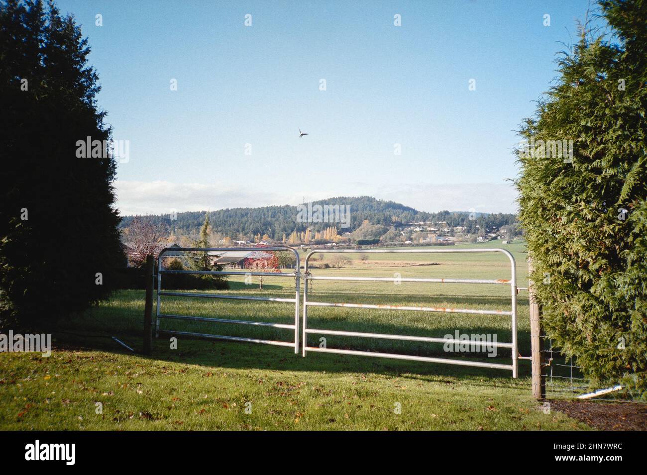 Gates in a field hi-res stock photography and images - Alamy