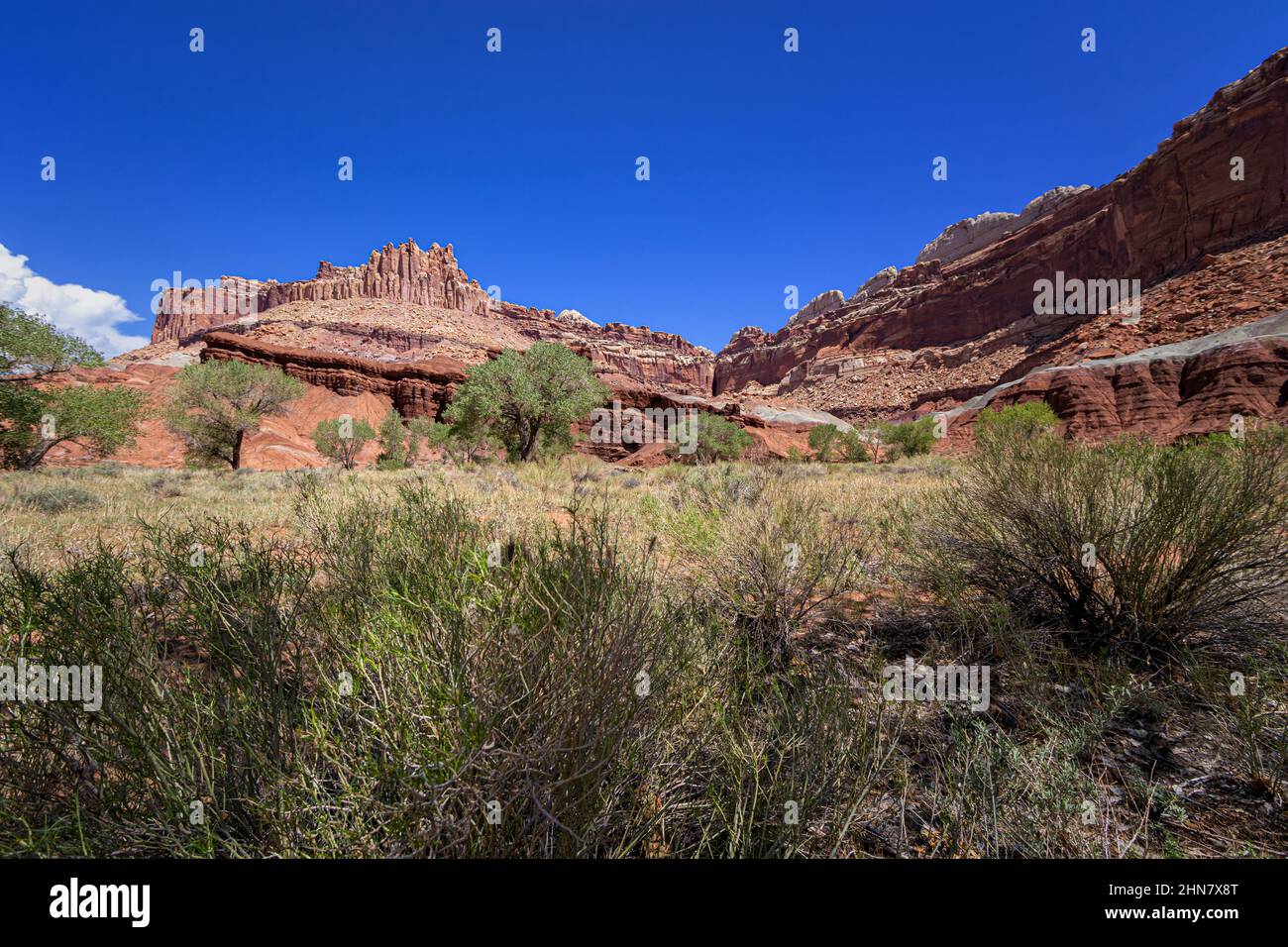 Capitol Reef National Park, Utah Stock Photo - Alamy