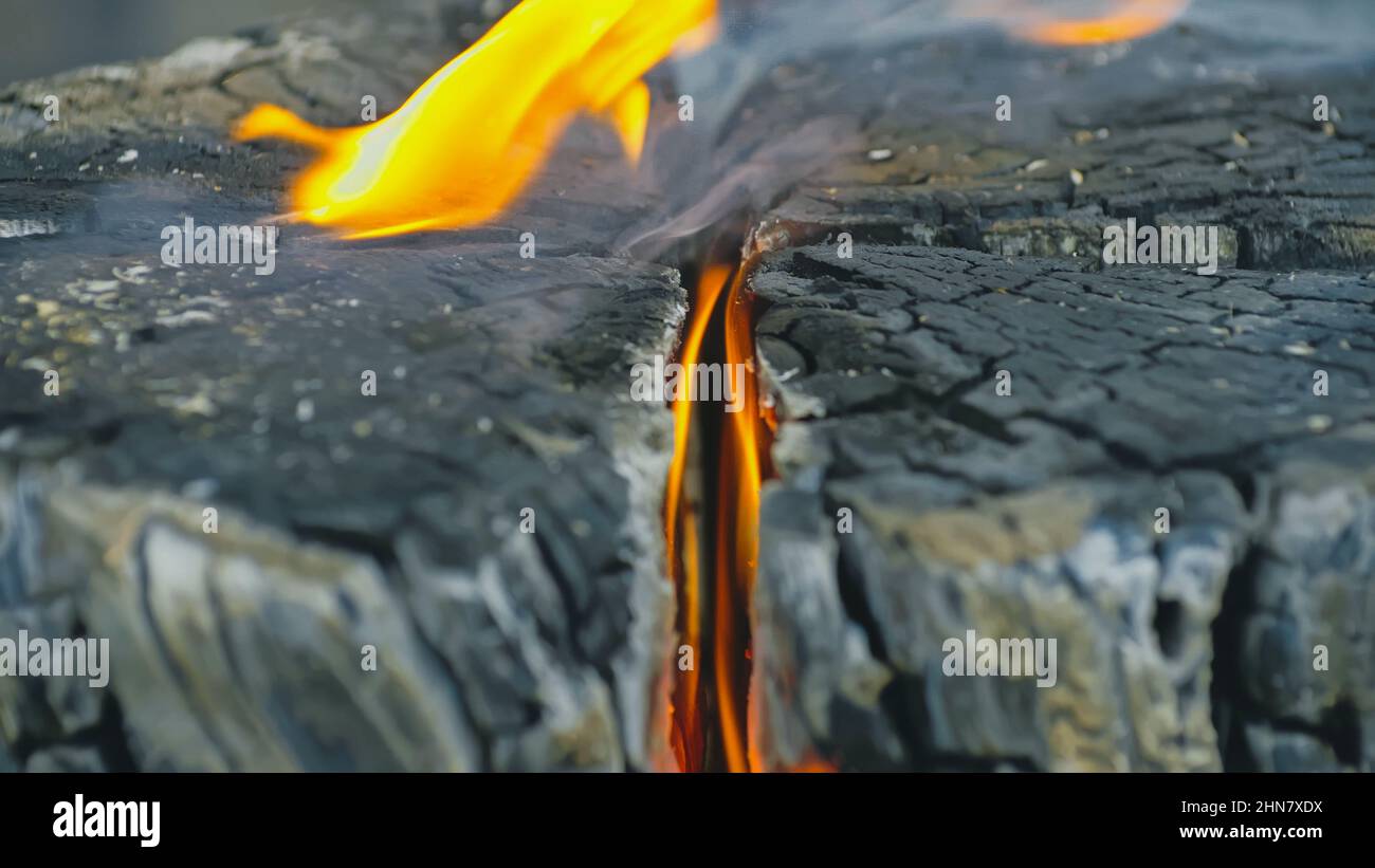 Swedish or finnish log candle. Fire burning from inside the wooden log ...