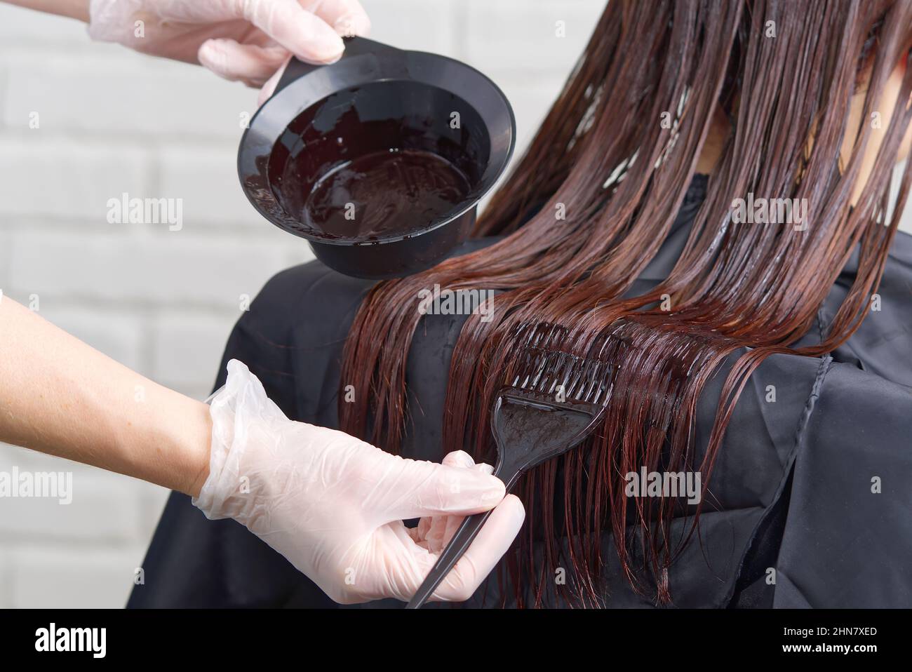 Young female hairdressed hands dyeing long hair to beautiful girl ...