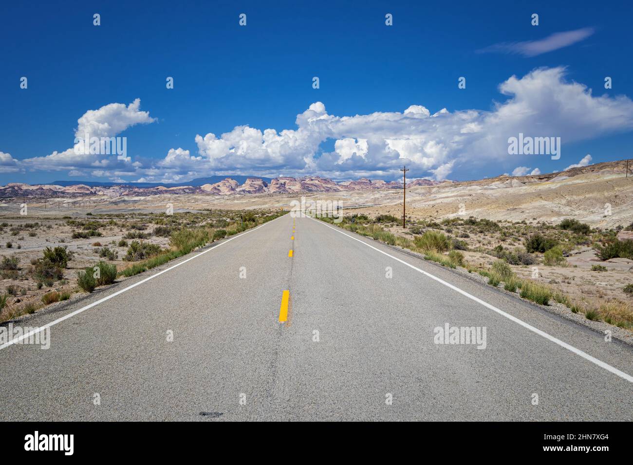 Dixie National Forest in Utah Stock Photo - Alamy