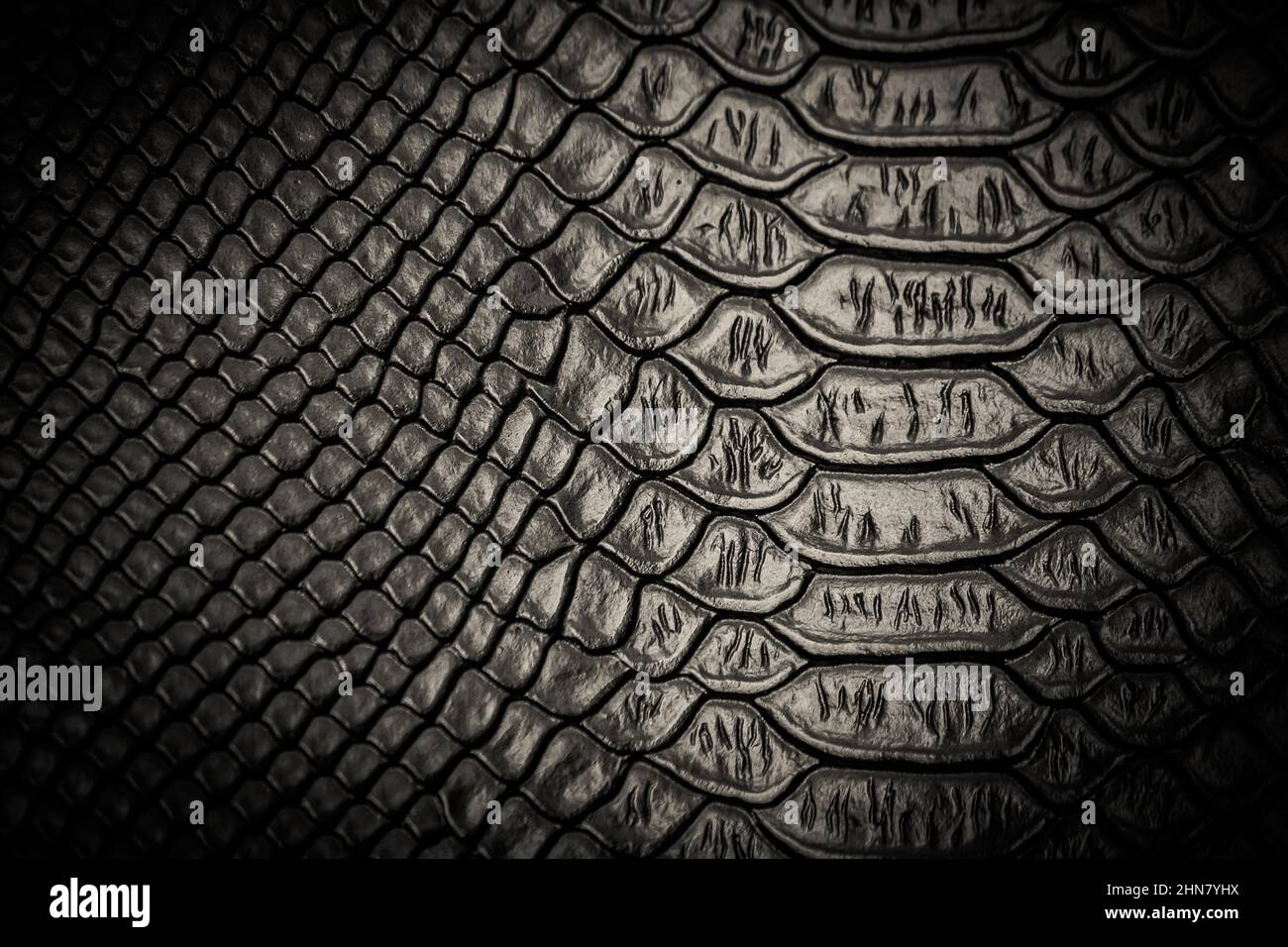Black snake skin pattern texture background Stock Photo - Alamy